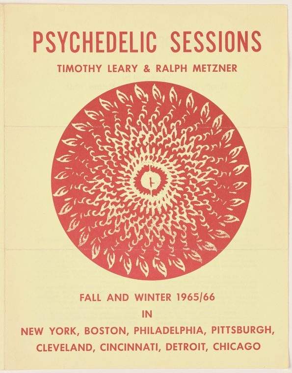 DECRIMINALIZE GOOP | WeedWeek