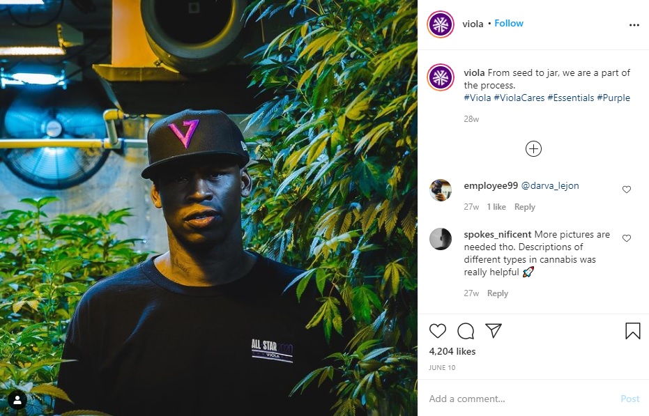 Rapper T.I. joins Viola as social justice ambassador - WeedWeek